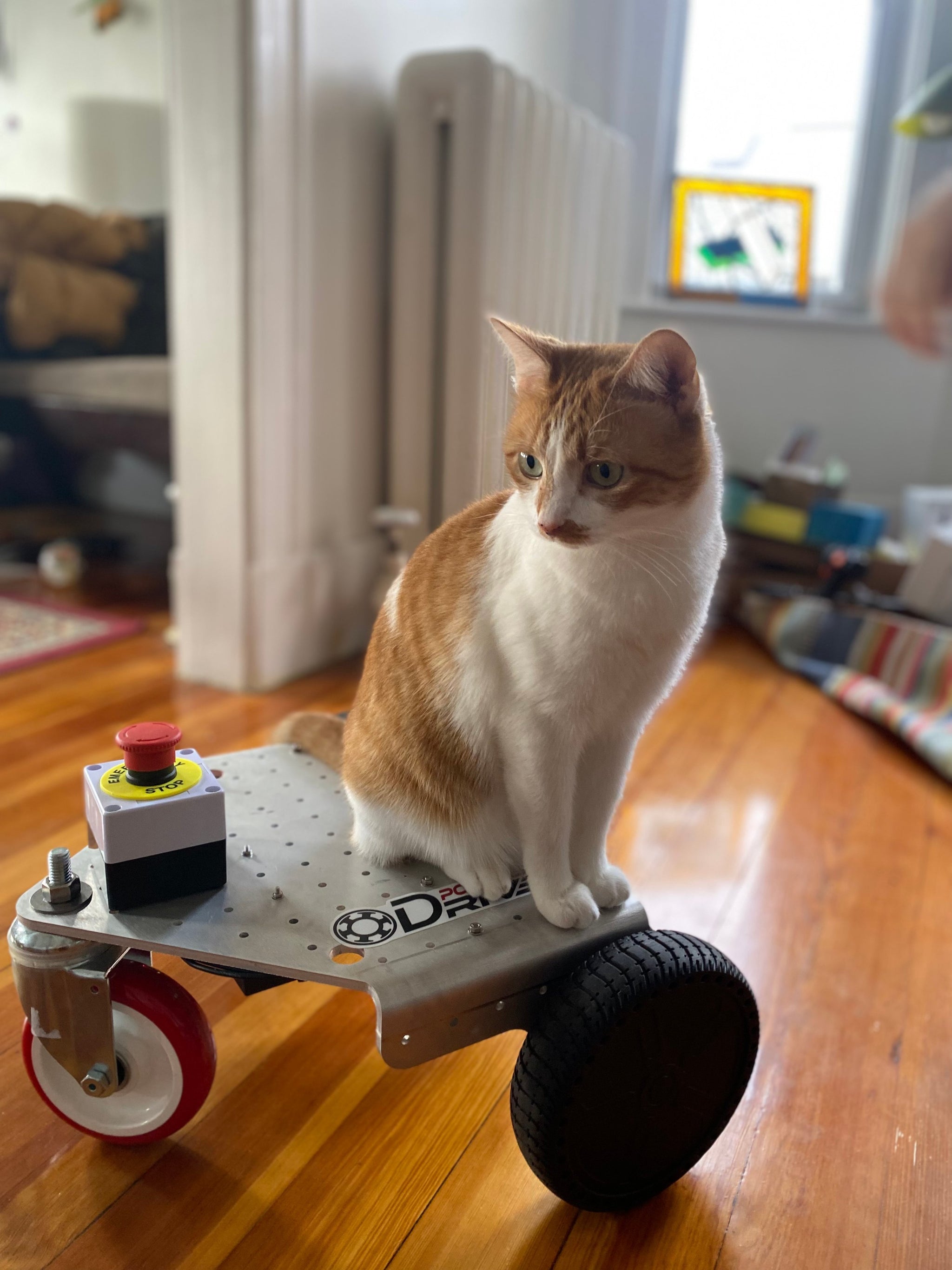 BotWheel Explorer Kit – ODrive Robotics US